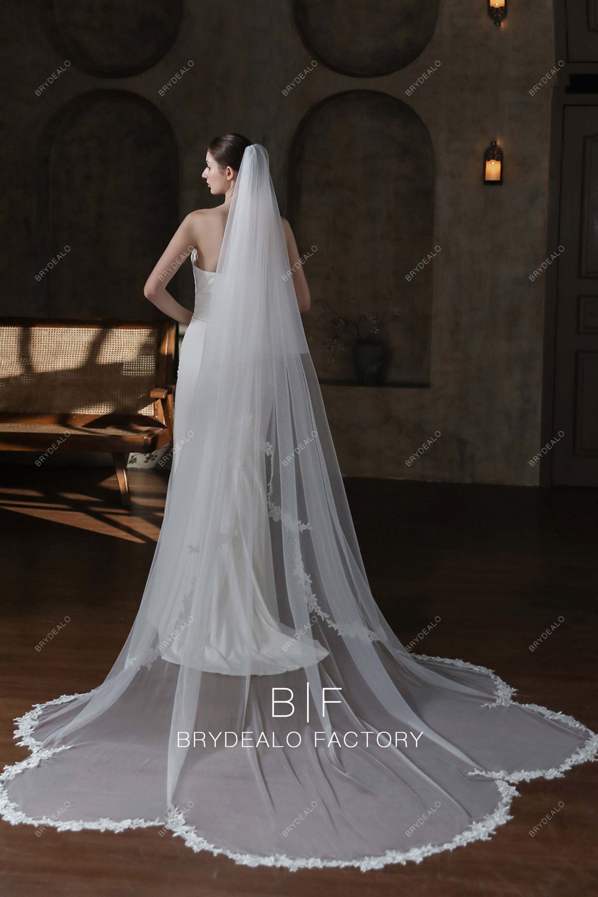 Two Tiered Cathedral Length Lace Cutout Edge Bridal Drop Veil