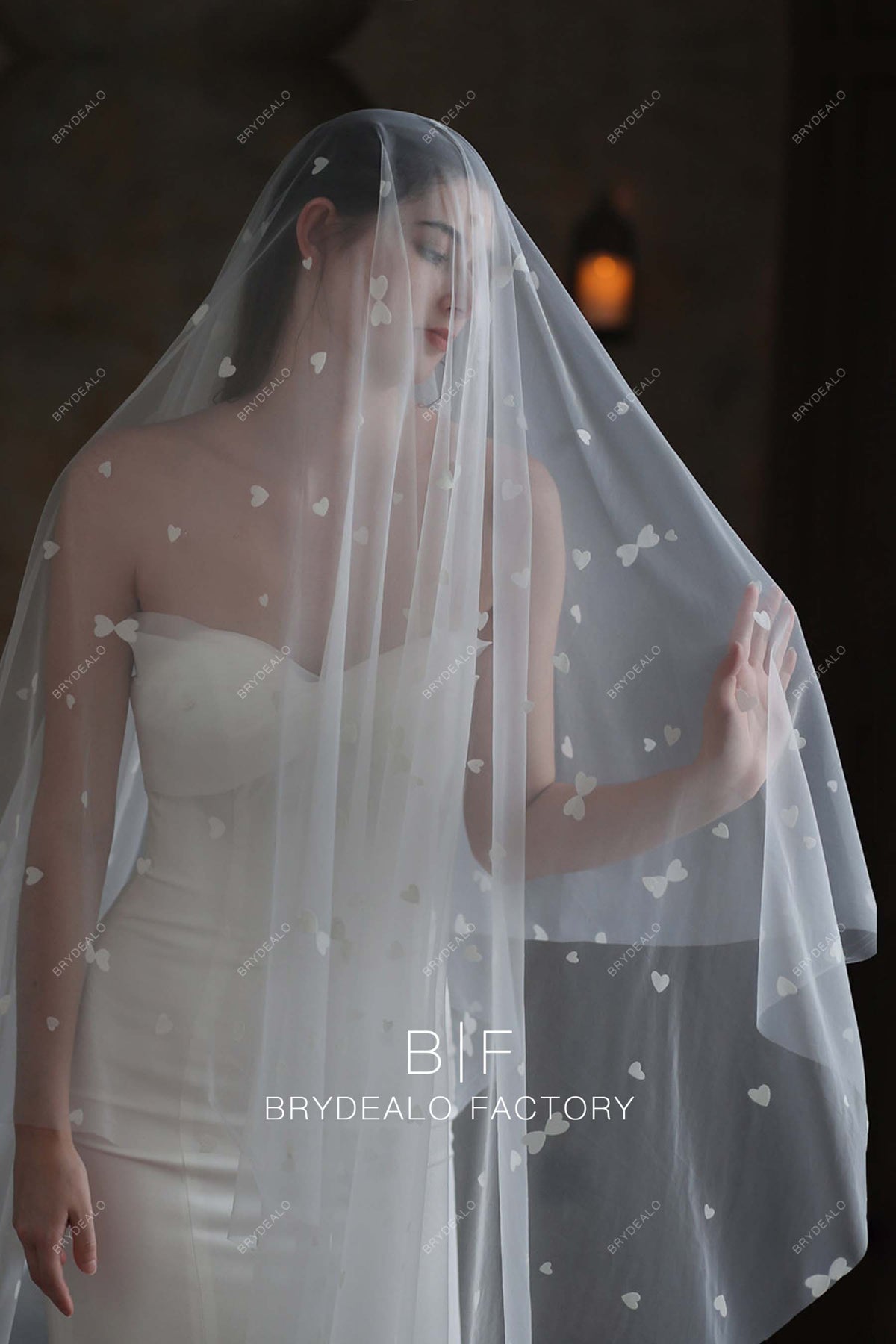Fairy Sweetheart Tulle Single-tier Cathedral Length Bridal Drop Veil