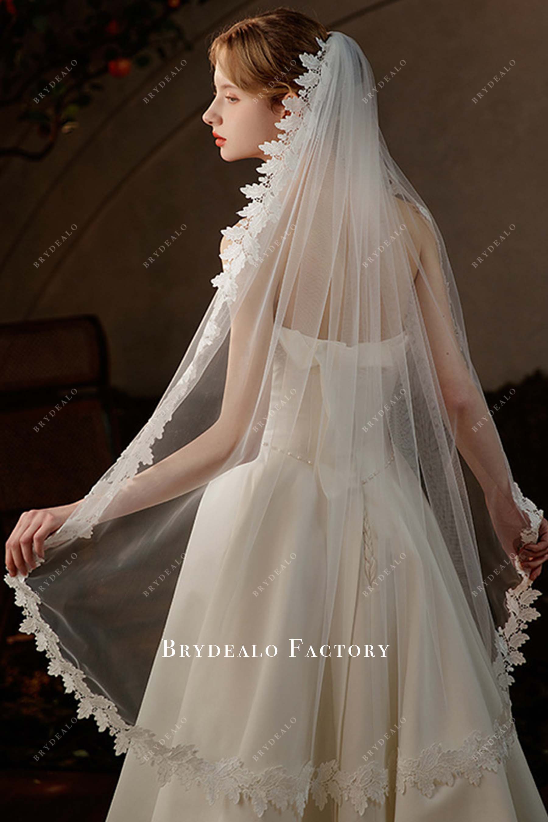Modern White Tulle Single Layer Lace Edge Bridal Veil