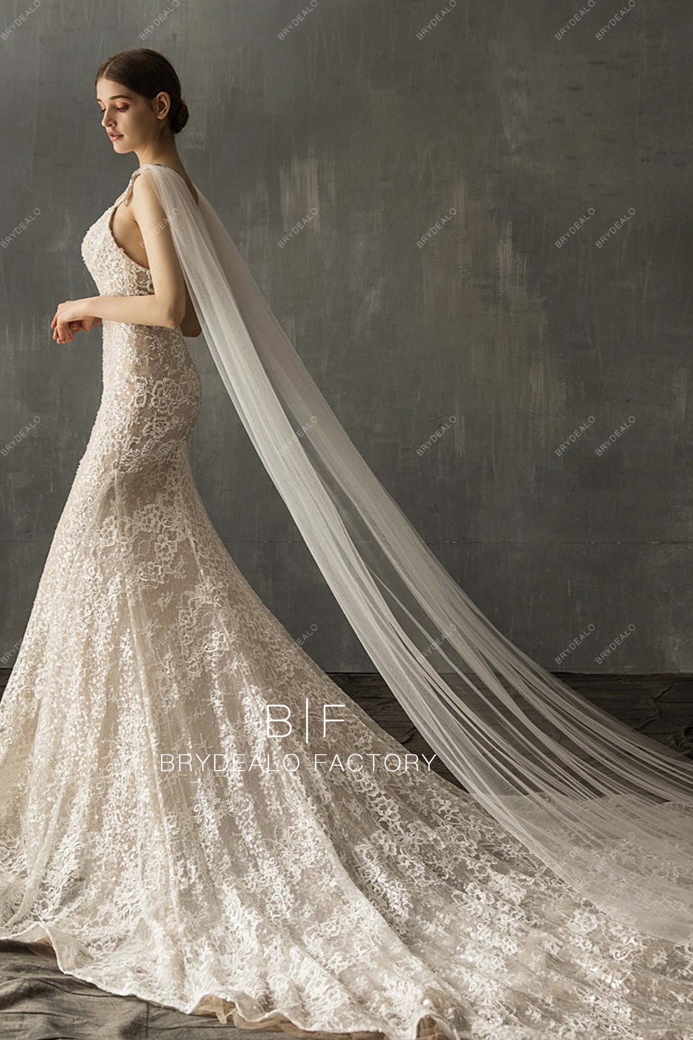 Cathedral Length Rhinestones Tulle Shoulder Veil